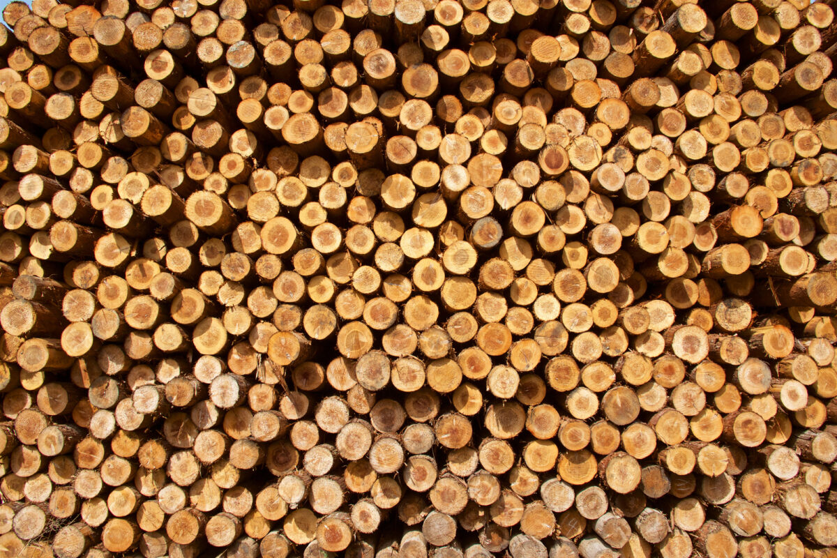 Western Red Cedar - US Timber™