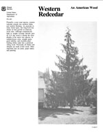 Western Red Cedar - US Timber™